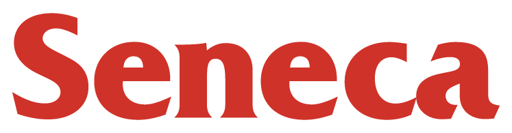 Projecting Positive Self-Image